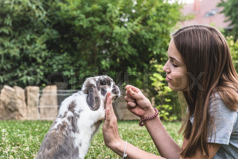 Teenager playing with her rabbit in the ... | Stock image | Colourbox