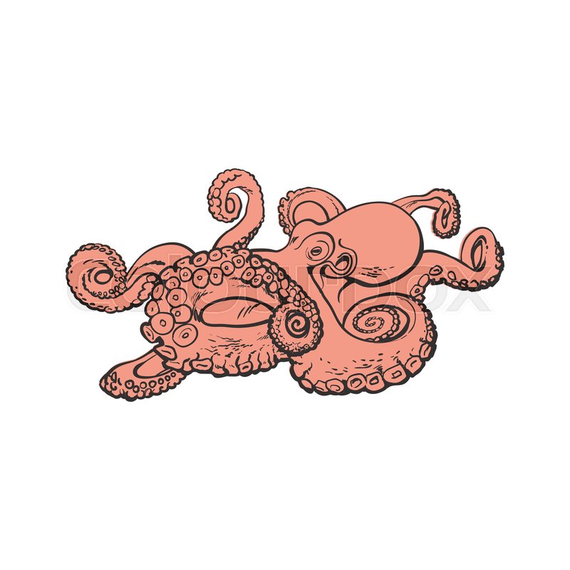 Vector illustration of red octopus in ... | Stock vector | Colourbox