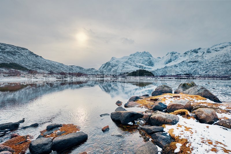 Norwegian fjord in winter. Lofoten ... | Stock image | Colourbox