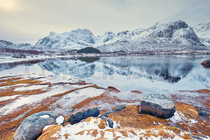 Norwegian fjord in winter. Lofoten ... | Stock image | Colourbox