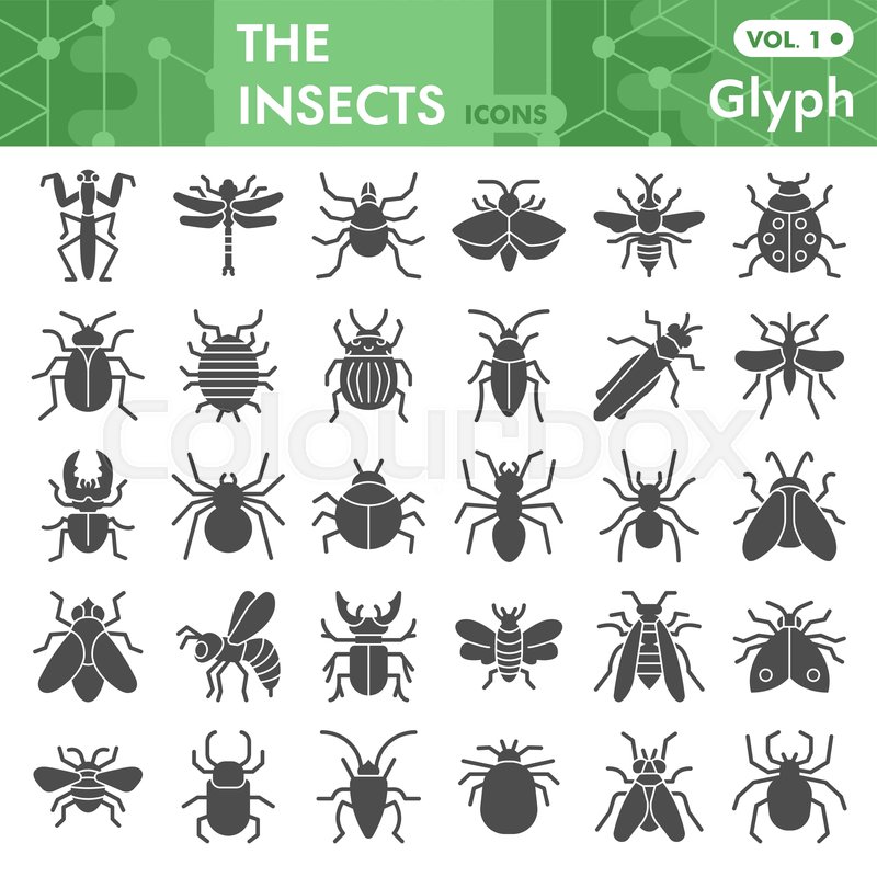 Insects solid icon set, bugs, beetles, ... | Stock vector | Colourbox