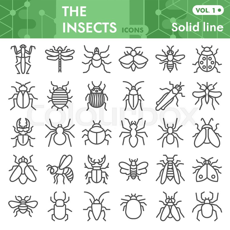 Insects line icon set, bugs, beetles, ... | Stock vector | Colourbox
