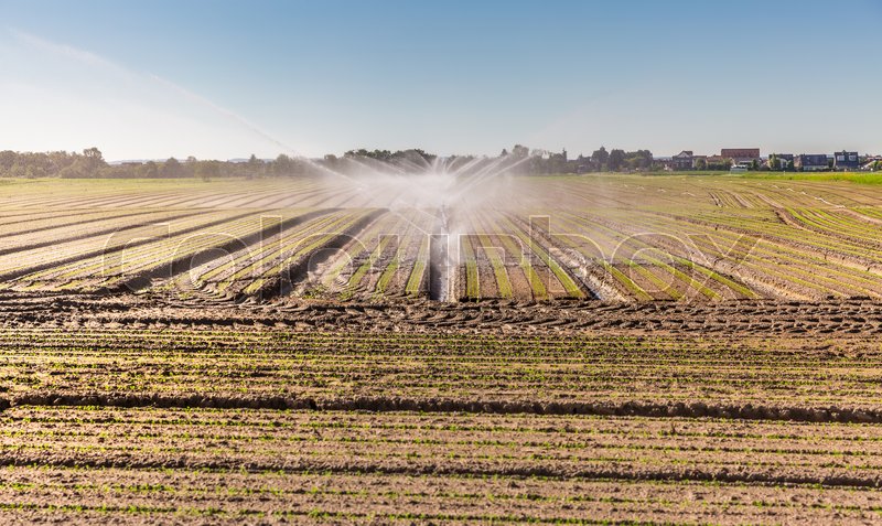 Irrigation system on a large farm ... | Stock image | Colourbox