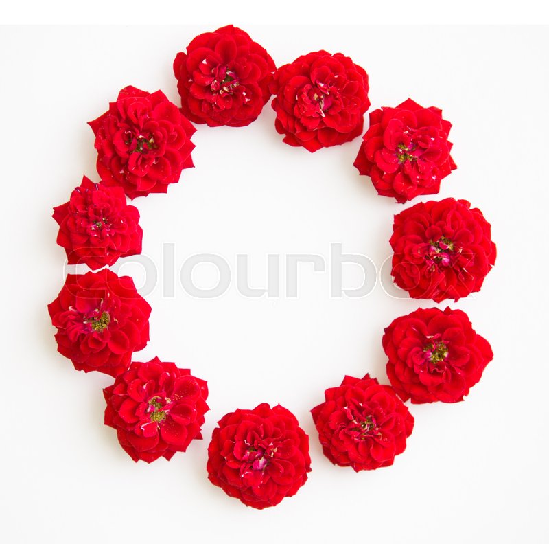A circle of red rose flowers | Stock image | Colourbox