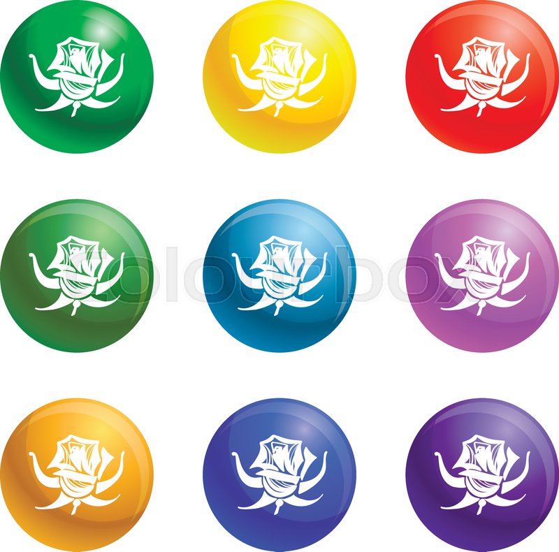Rose icons vector 9 color set isolated ... | Stock vector | Colourbox