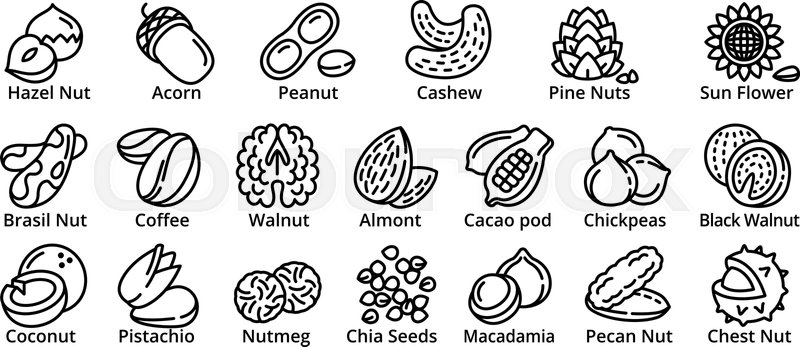 Nut icons set. Outline set of nut ... | Stock vector | Colourbox