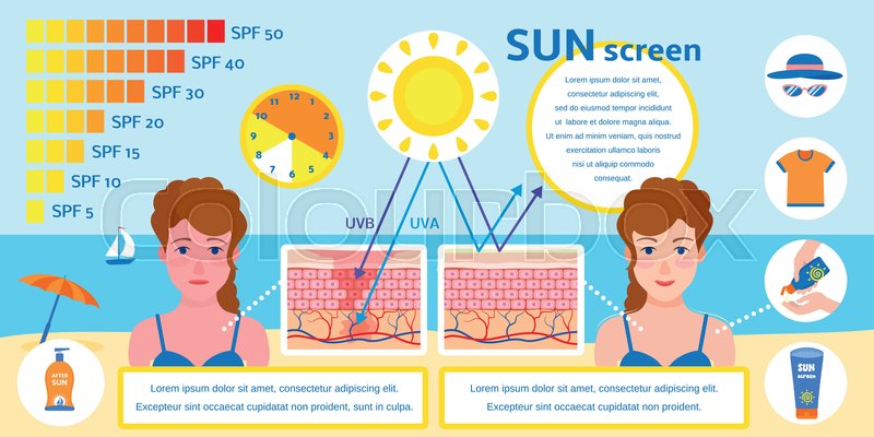 Sunscreen Infographic Flat Stock Vector Colourbox