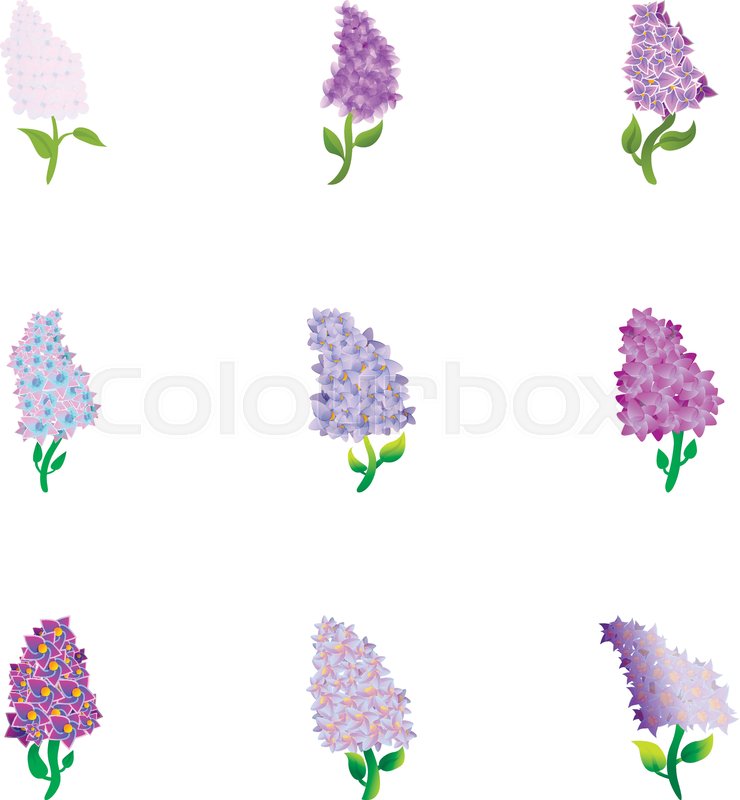 Lilac flower icon set. Cartoon set of ... | Stock vector | Colourbox