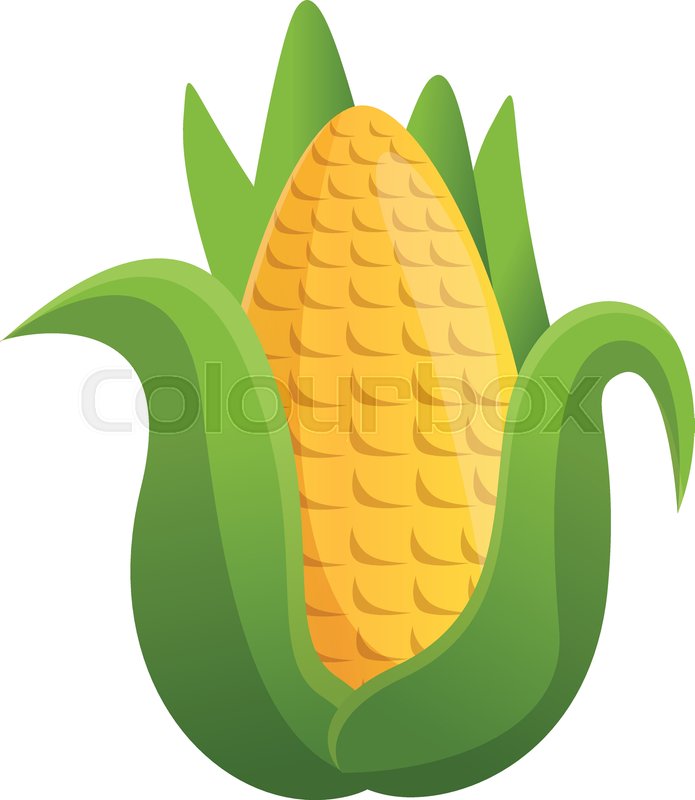 Farm corn icon. Cartoon of farm corn ... | Stock vector | Colourbox