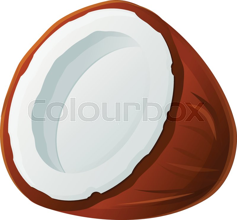 Cutted coconut icon. Cartoon of cutted ... | Stock vector | Colourbox