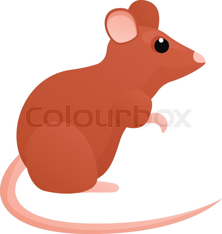 Animal rat icon. Cartoon of animal rat ... | Stock vector | Colourbox