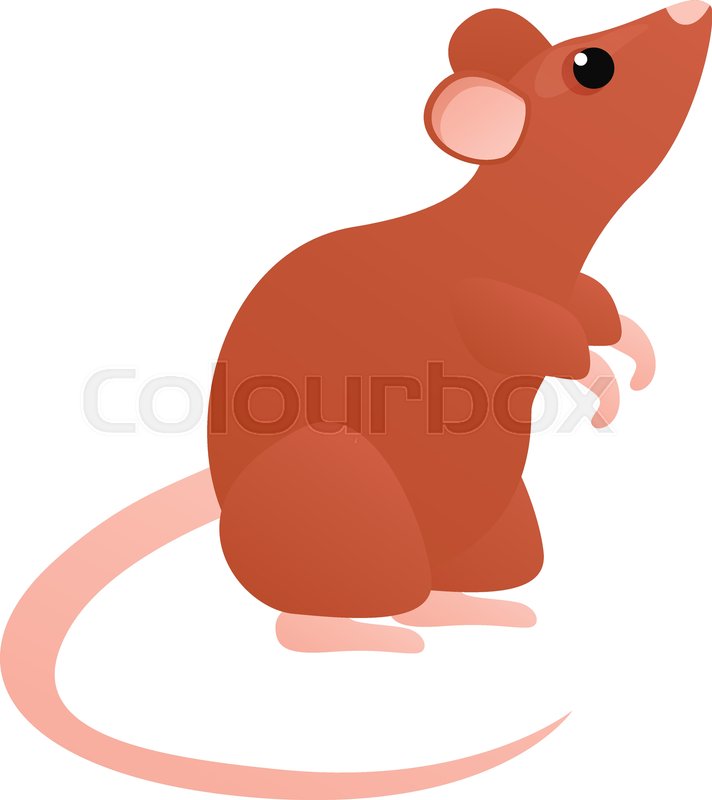 Cute rat icon. Cartoon of cute rat ... | Stock vector | Colourbox