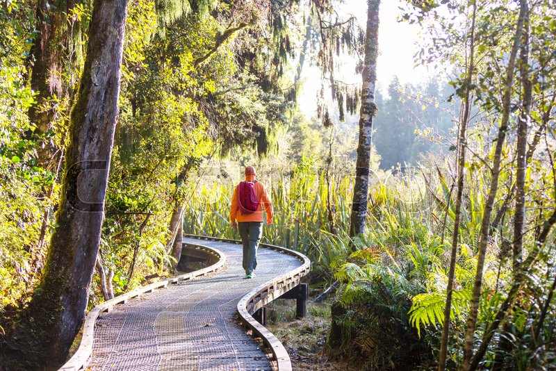Hiking and tramping in New Zealand. ... | Stock image | Colourbox