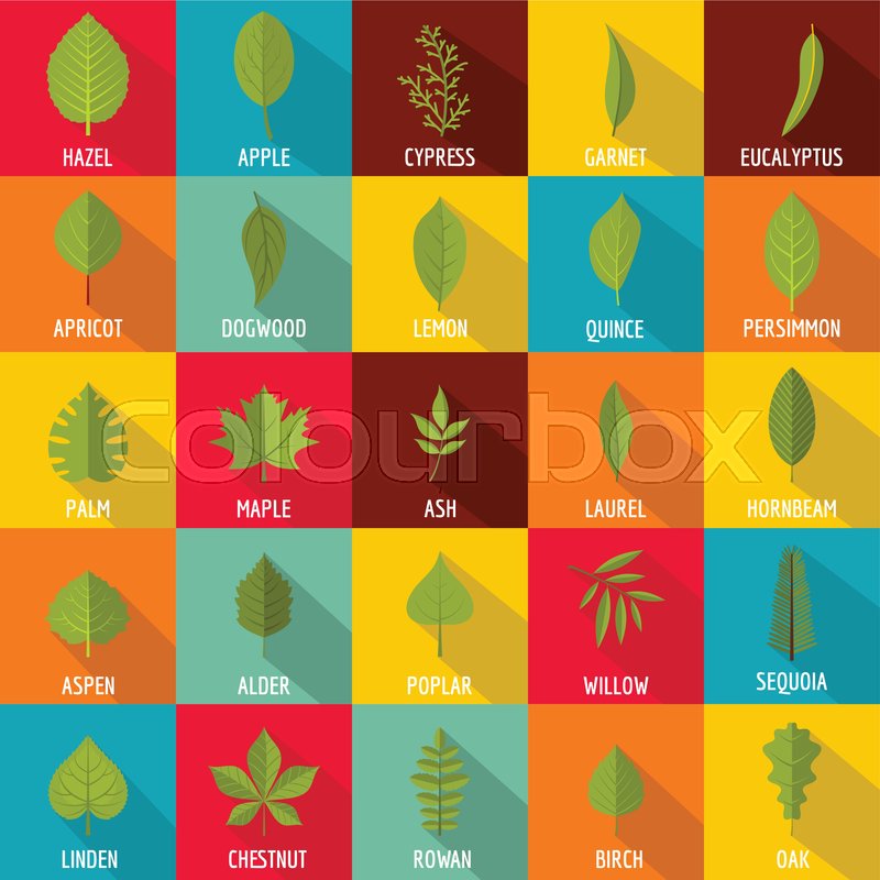 Leaf icons set. Flat illustration of ... | Stock vector | Colourbox