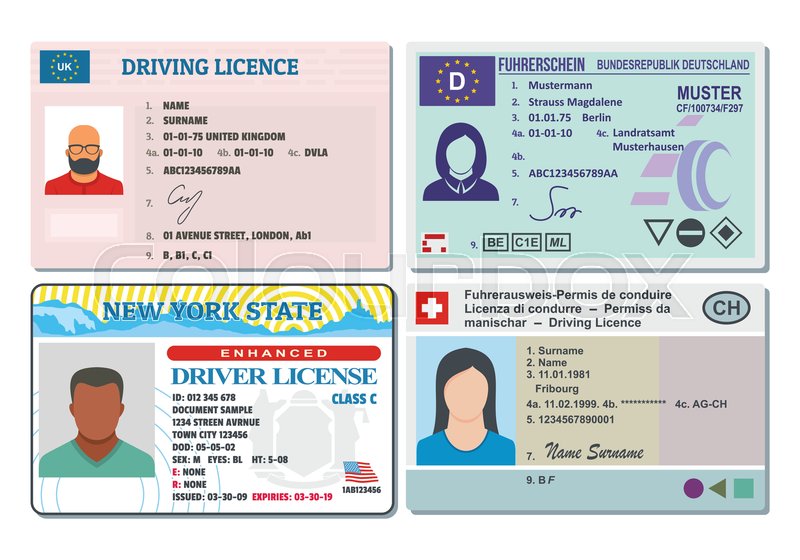 Car driver license with photo vehicle ... | Stock vector | Colourbox