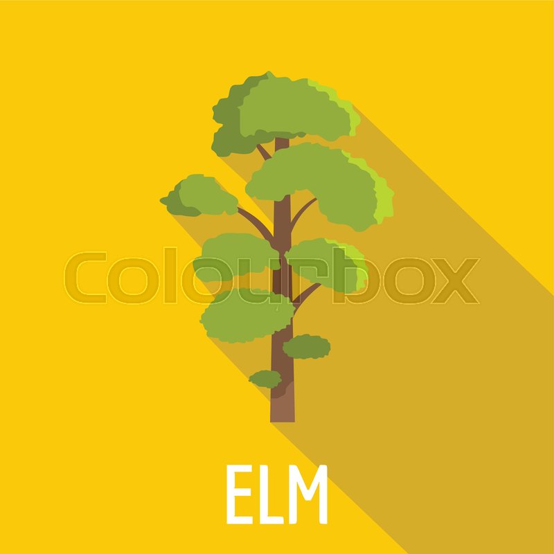 Elm tree icon. Flat illustration of ... | Stock vector | Colourbox