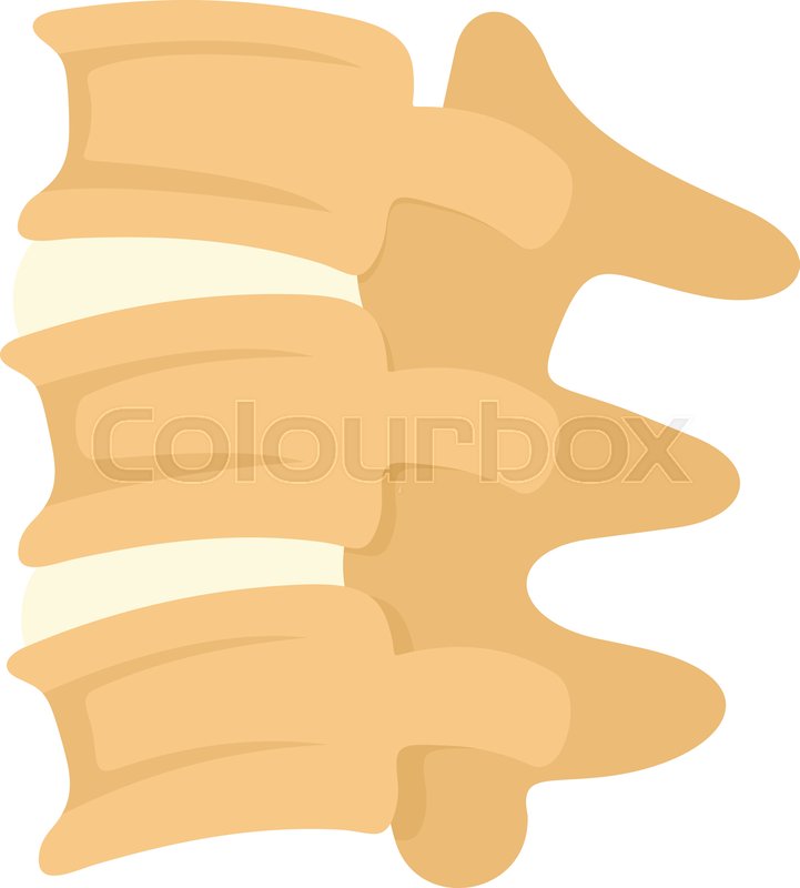 Spinal column discs icon. Flat ... | Stock vector | Colourbox