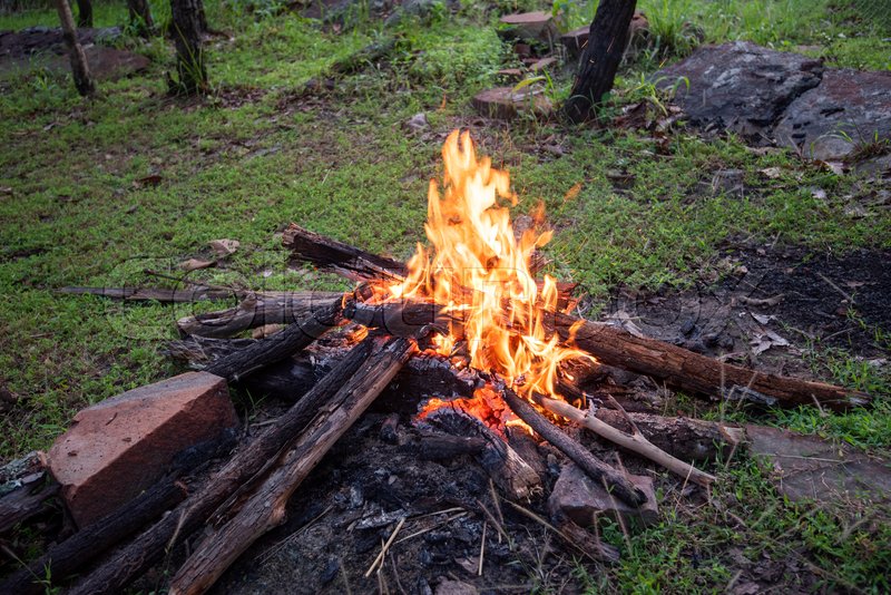 Fire camping burning wood / bonfire ... | Stock image | Colourbox