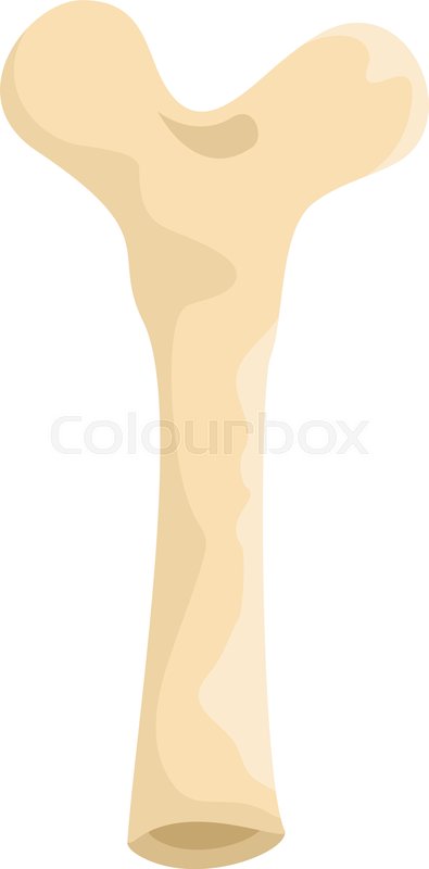 Stone age bone icon. Flat illustration ... | Stock vector | Colourbox