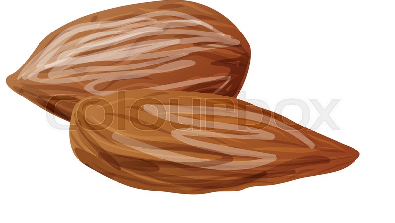 Delicious almonds icon. Cartoon of ... | Stock vector | Colourbox