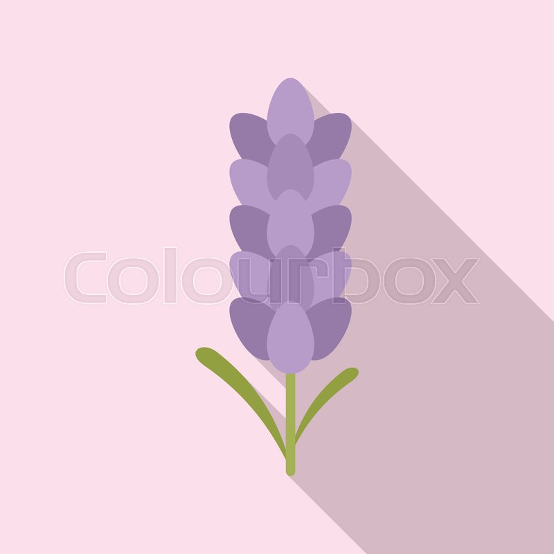 Fresh lavender icon. Flat illustration ... | Stock vector | Colourbox