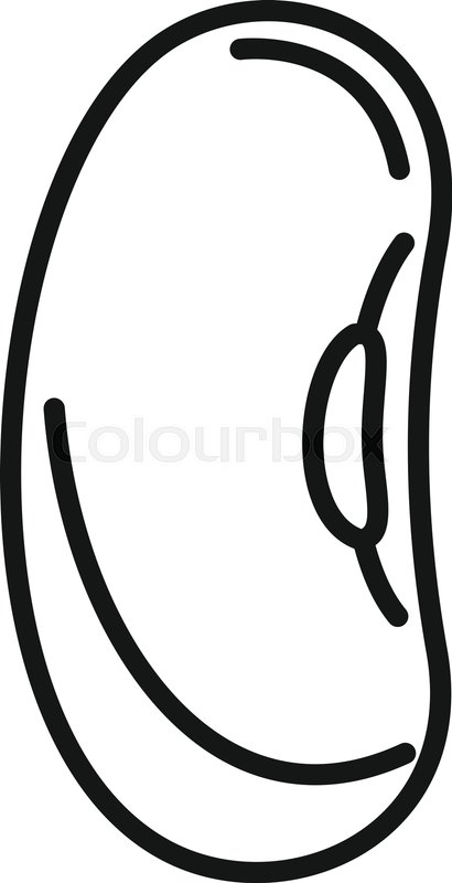 Kidney Bean Drawing
