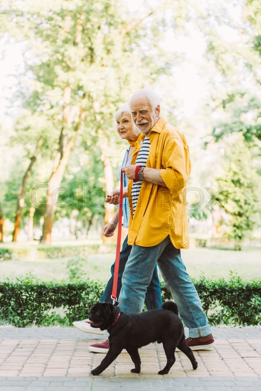 Man Walking Dog Side View