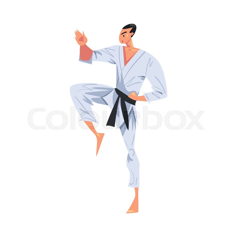 Male Karate Fighter Character ... | Stock vector | Colourbox