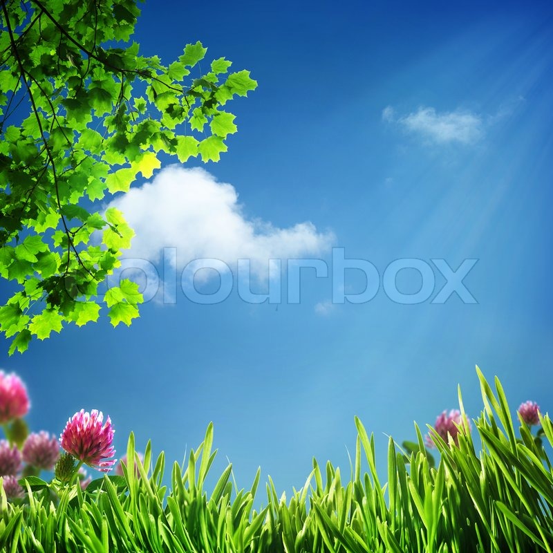 Nature Design Background
