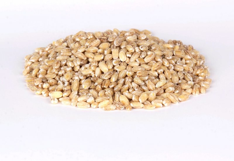 Barley | Stock image | Colourbox