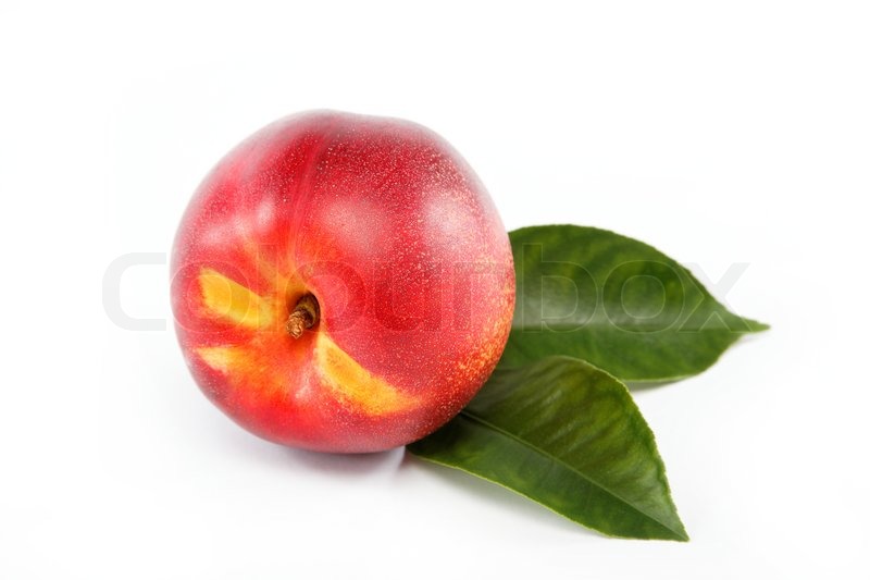 Frische Nektarinen isoliert auf weißem ... | Stock Bild | Colourbox