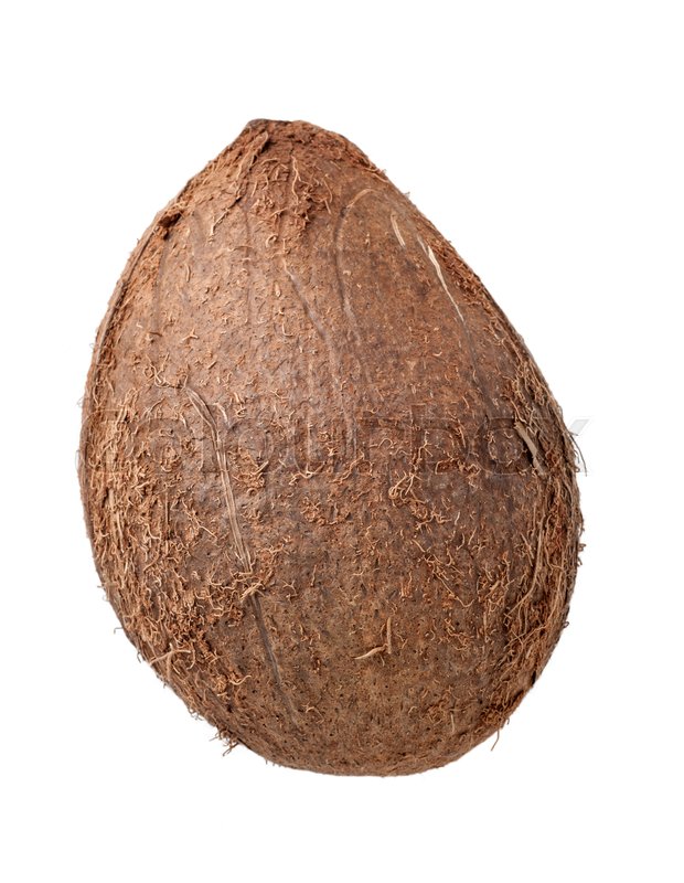 Coconut close-up front view isolated on ... | Stock image | Colourbox