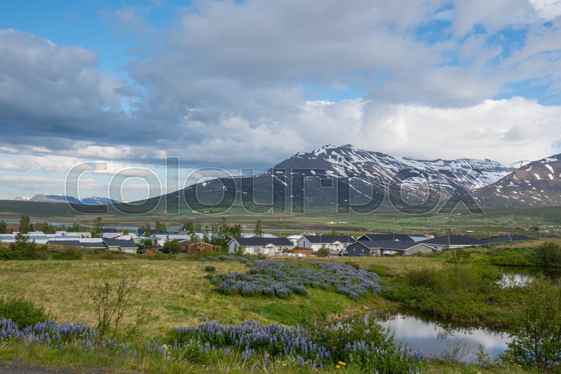 Town of Dalvik in North Iceland on a ... | Stock image | Colourbox