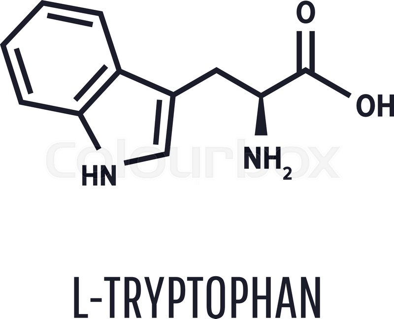 Tryptophan skeletal formula and ... | Stock vector | Colourbox