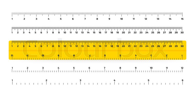 Wooden rulers 30 centimeters with ... | Stock vector | Colourbox