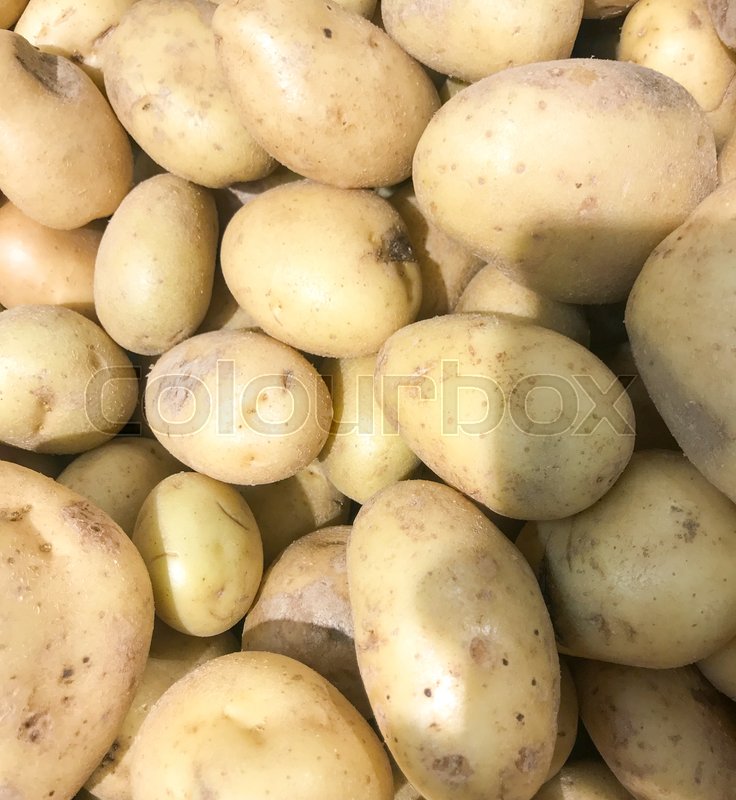 Close-Up Of Ripe Potatoes. Healthy ... | Stock image | Colourbox