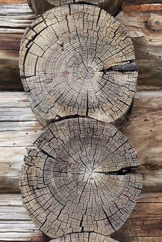 Old logs with round pattern, old wooden ... | Stock image | Colourbox