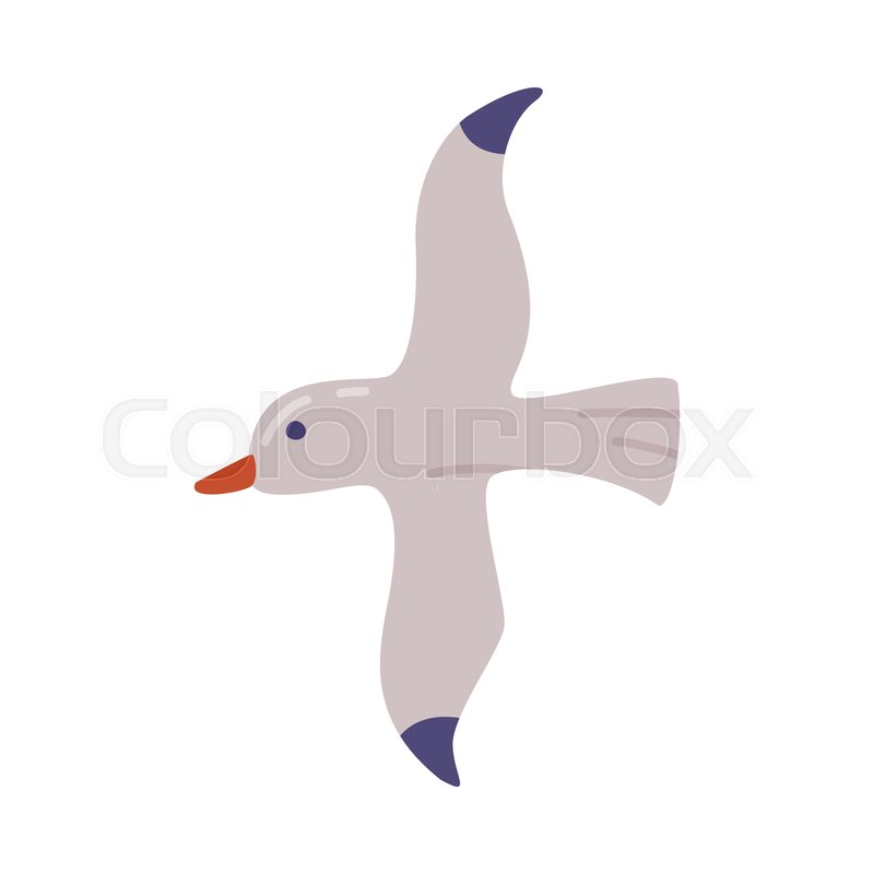 Flying Seagull Cartoon