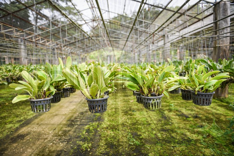 Flower Pot Farm