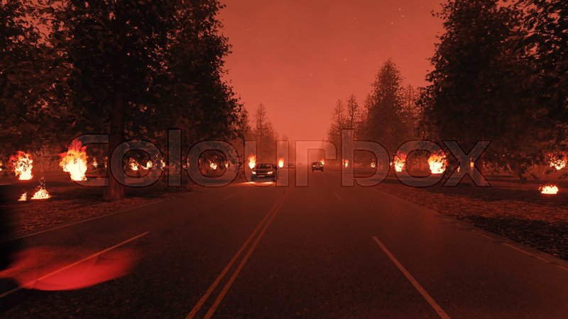 Fire road forest USA traffic 4k | Stock video | Colourbox