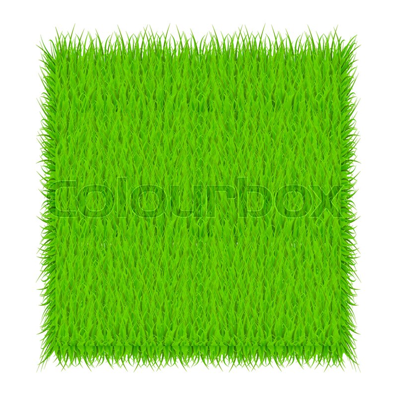 Circle With Grass, Green grass ... | Stock vector | Colourbox