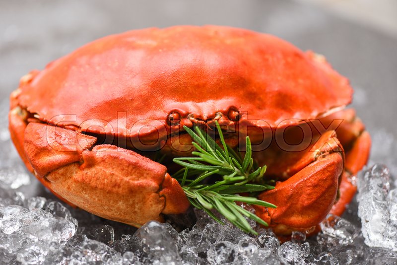 Fresh crab with ingredients lemon ... | Stock image | Colourbox