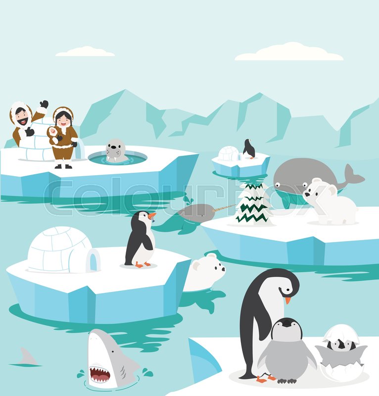 Set of animals in North pole Arctic ... | Stock vector | Colourbox