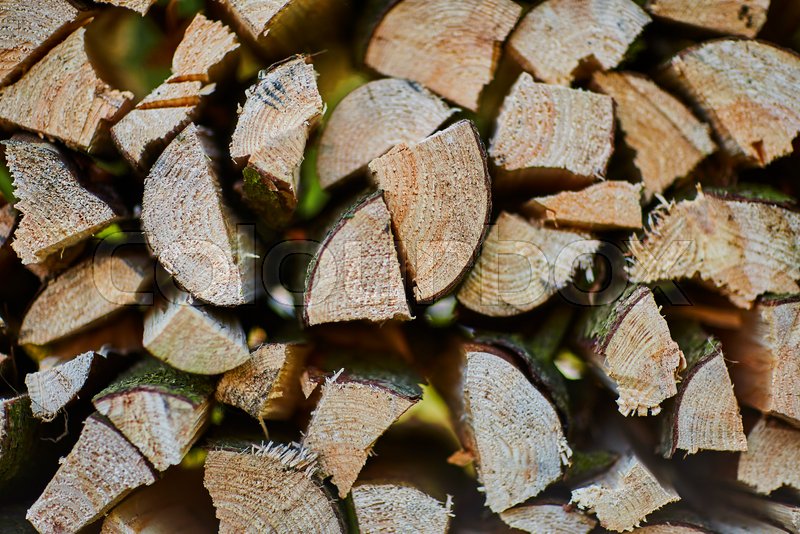 A stack of old wood tree logs on top of ... | Stock image | Colourbox