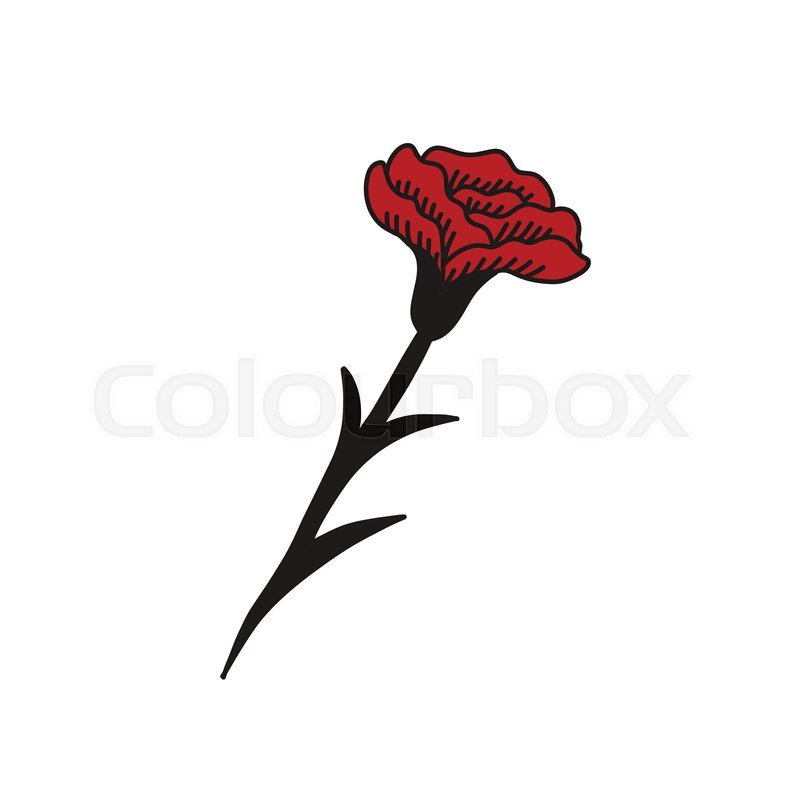 Carnation flower doodle icon, vector ... | Stock vector | Colourbox