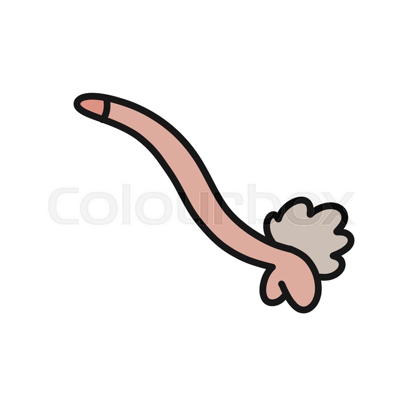 Penis Doodle Icon Vector Color Line Stock Vector Colourbox 