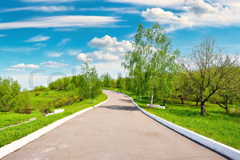 Asphalt road in the park on a sunny day | Stock image | Colourbox