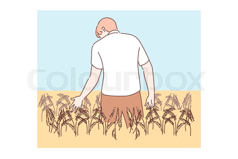 Agriculture, farming, agronomy ... | Stock vector | Colourbox