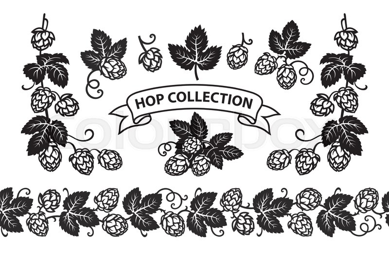 Hops Border Vector