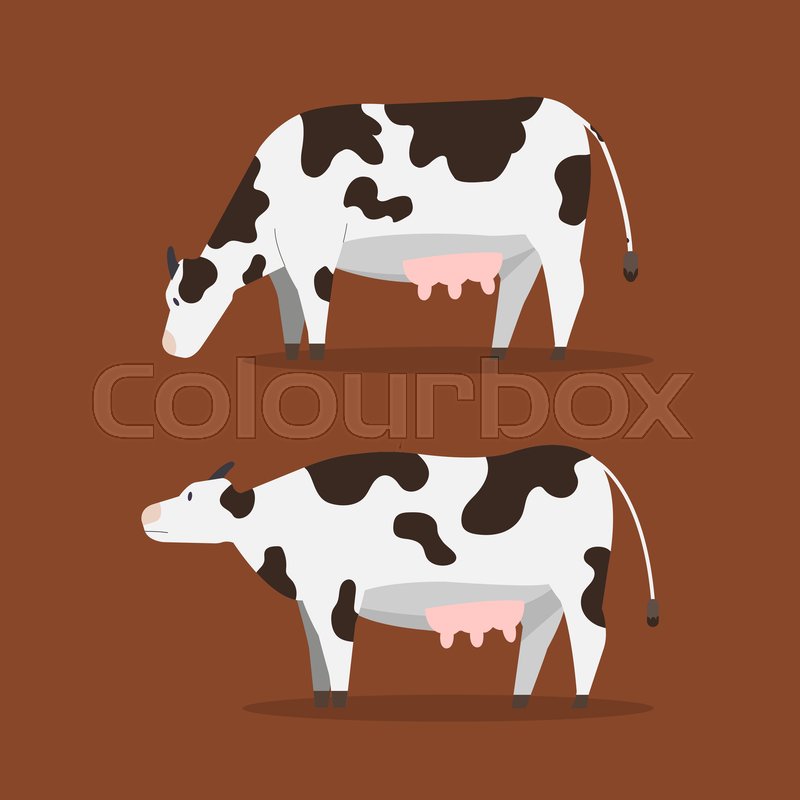 Flat cow vector illustration.Set cute ... | Stock vector | Colourbox